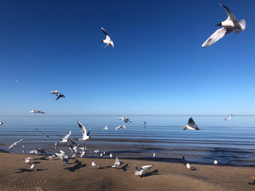 Šonedēļ Latvijā gaidāms +14 grādu siltums | VENTSPILNIEKS.LV