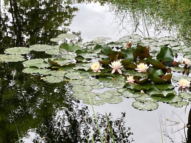 Karstums mitēsies, pakāpeniski kļūs vēsāks | VENTSPILNIEKS.LV