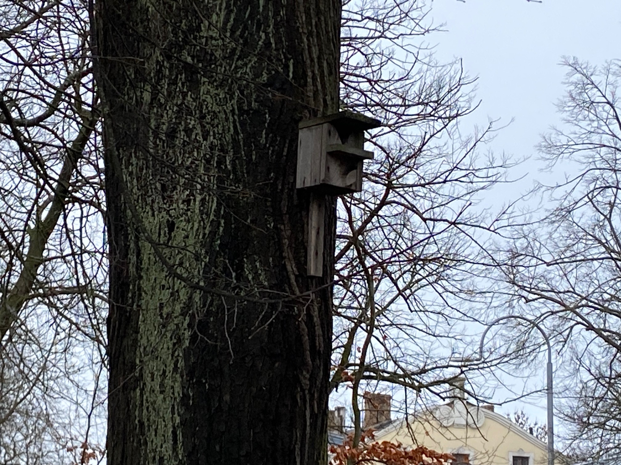 Šonedēļ gaidāmi intensīvi nokrišņi un brāzmains vējš | VENTSPILNIEKS.LV